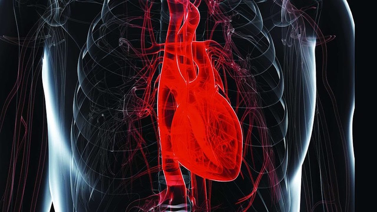 Warning Signs That Your HEART Doesn't Work Properly! - YouTube