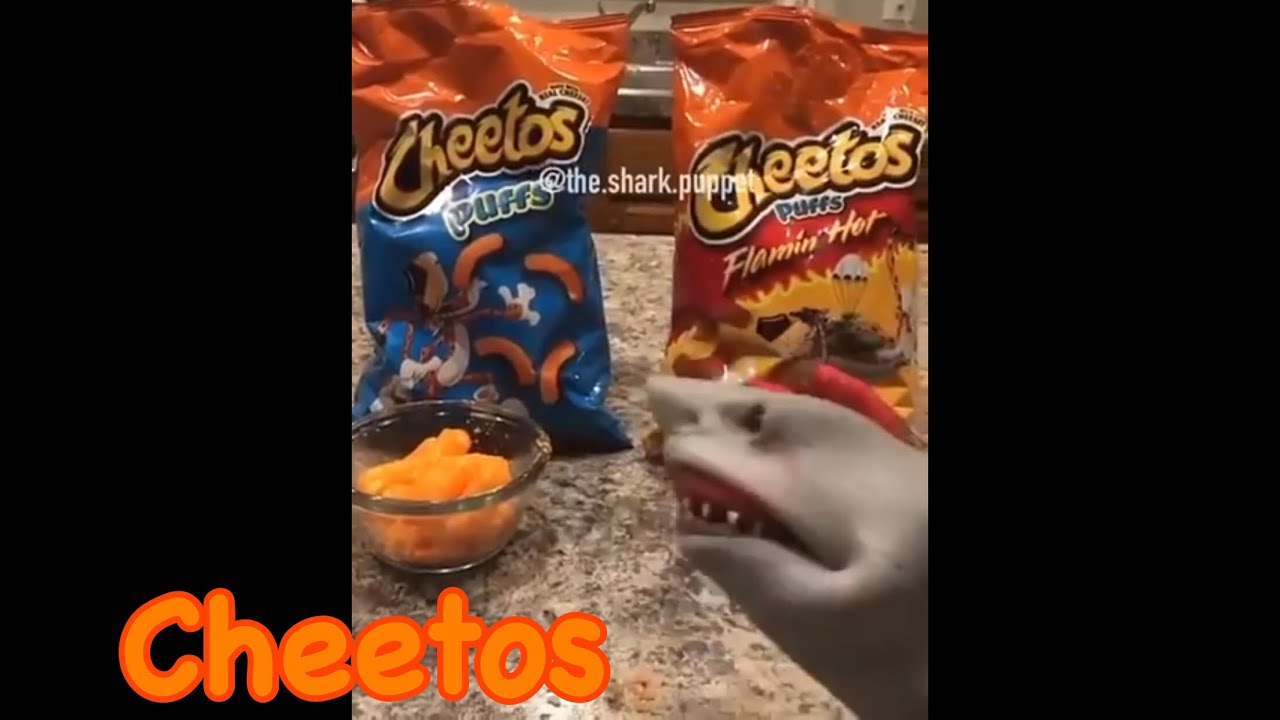 Shark puppet eats Cheetos. - YouTube
