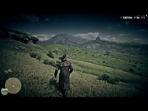 How to catch a wild horse | RedM Guide | Harmony Meadows