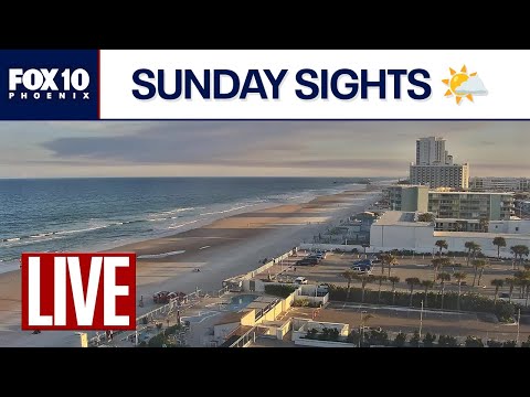 🔴LIVE WEBCAMS around the world | January 11 | FOX 10 Phoenix