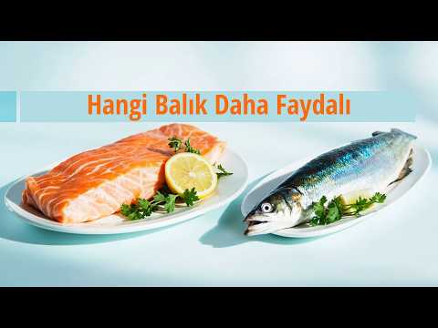 En Faydalı Balık Hangisi?  #enfaydalıbalıklar #sağlıklıbeslenme