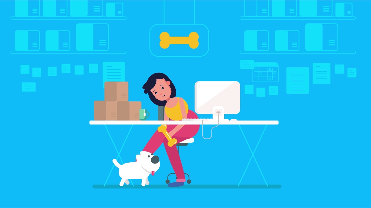 Fetchy - Explainer video - YouTube