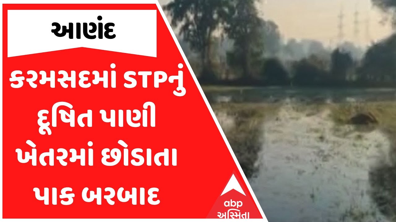 Anand News | કરમસદમાં STPનું દૂષિત પાણી ખેતરમાં છોડાતા પાક બરબાદ, જુઓ ...