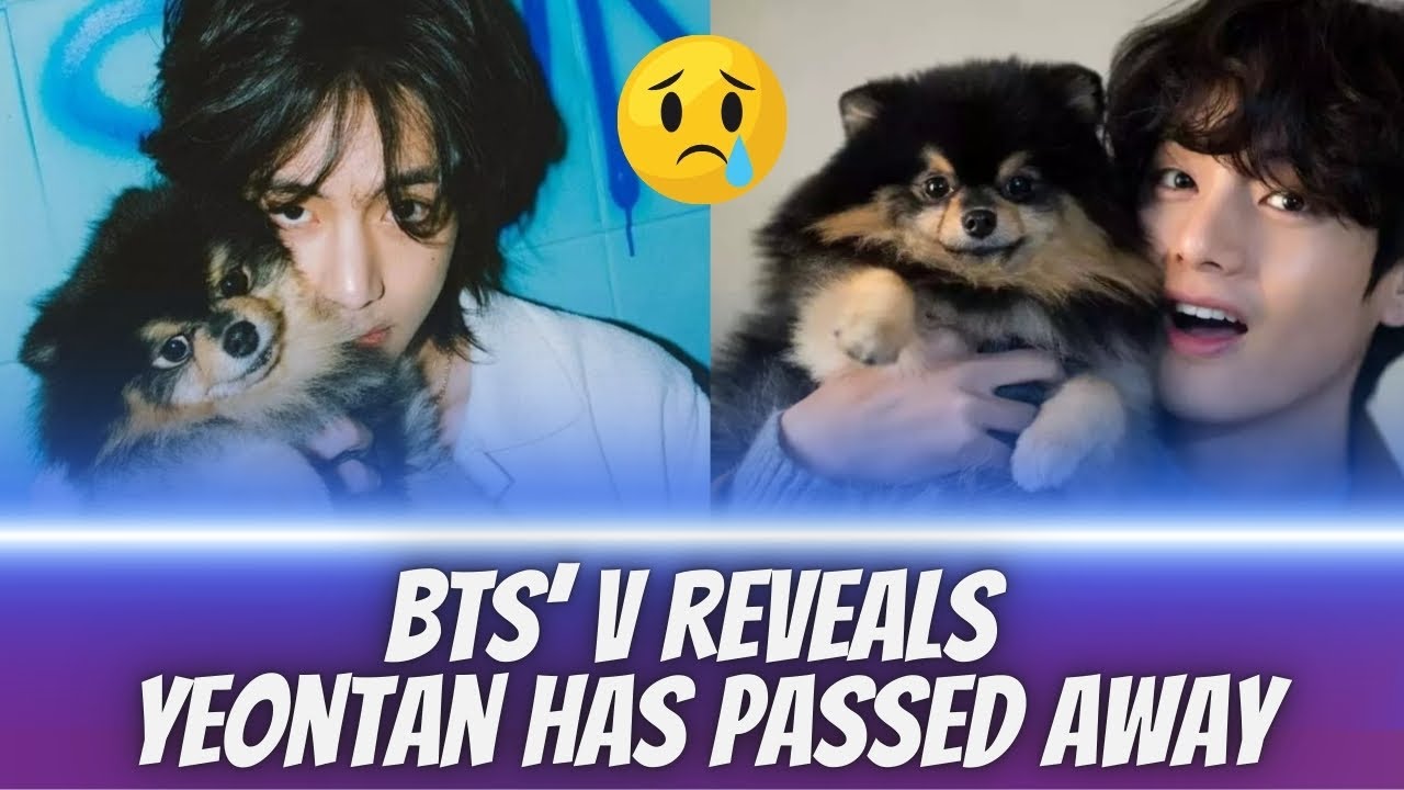 BTS V's Beloved Dog Yeontan Passes Away - YouTube