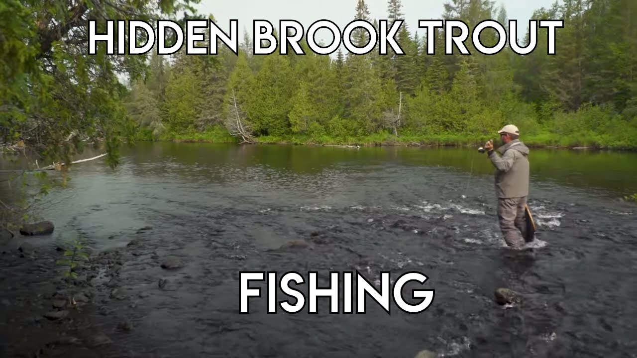 Brook Trout in Hidden Streams & Lakes - The New Fly Fisher