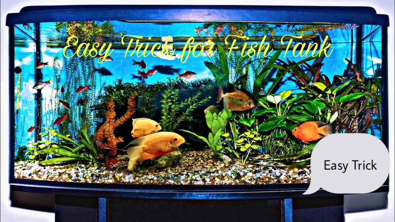 Easy Trick for Making Fish Tank - YouTube