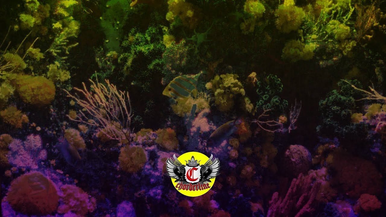 [SOLD] LG Izz Type Beat 2021 "CORAL" - YouTube