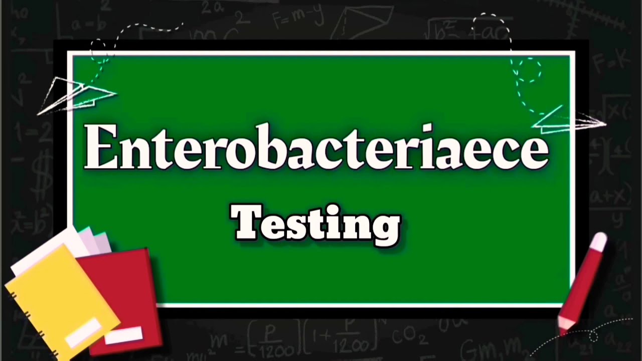 Enterobacteriaceae family | How to count enterobacteriaceae using MPN ...