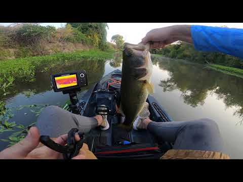 Bass Fishing out in Sac Ave/Sutter Bypass. - YouTube
