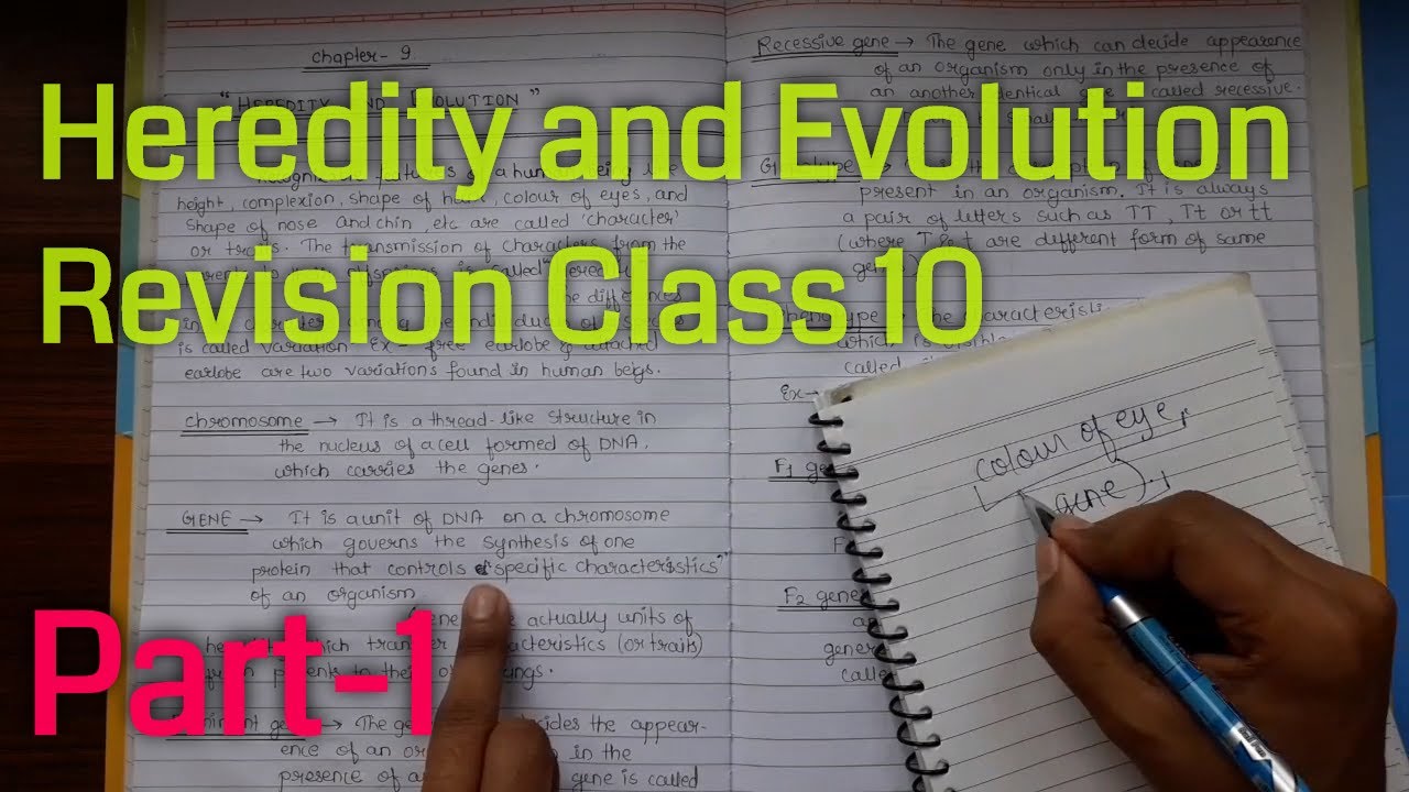 Heredity and Evolution class 10 science biology revision pdf notes ...
