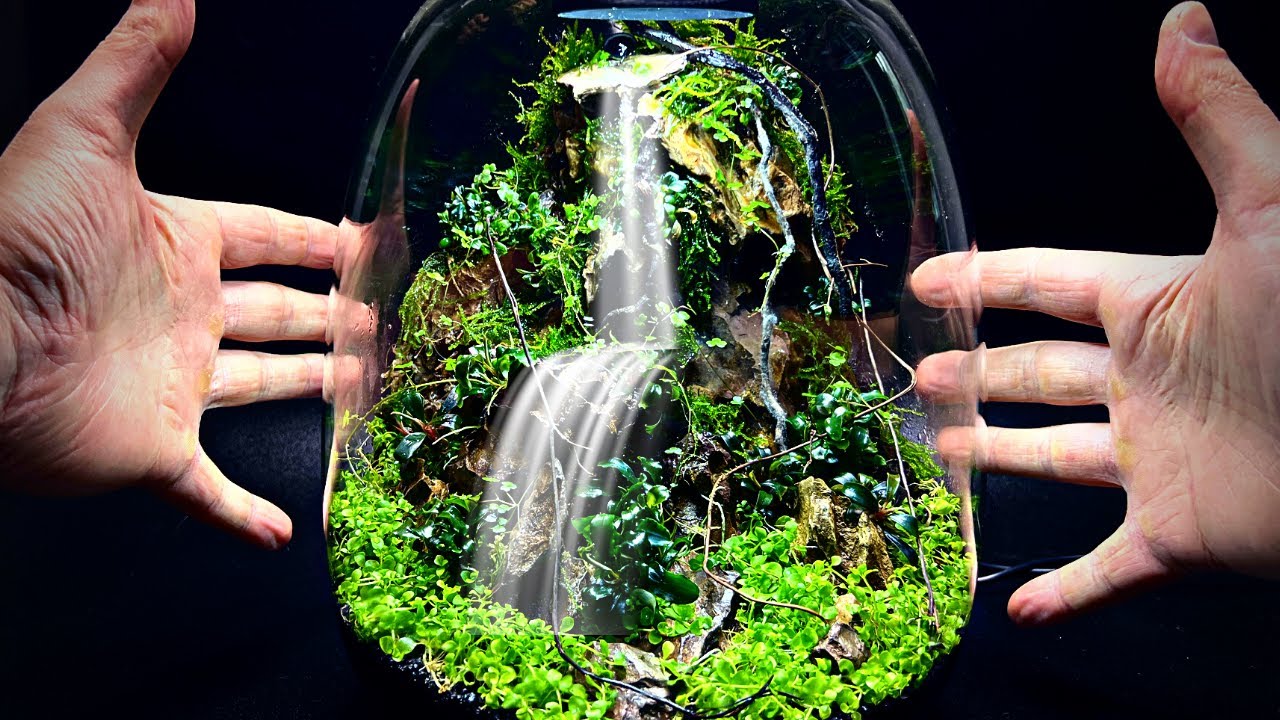 Mini Waterfall Terrarium Anyone Can Make! - YouTube