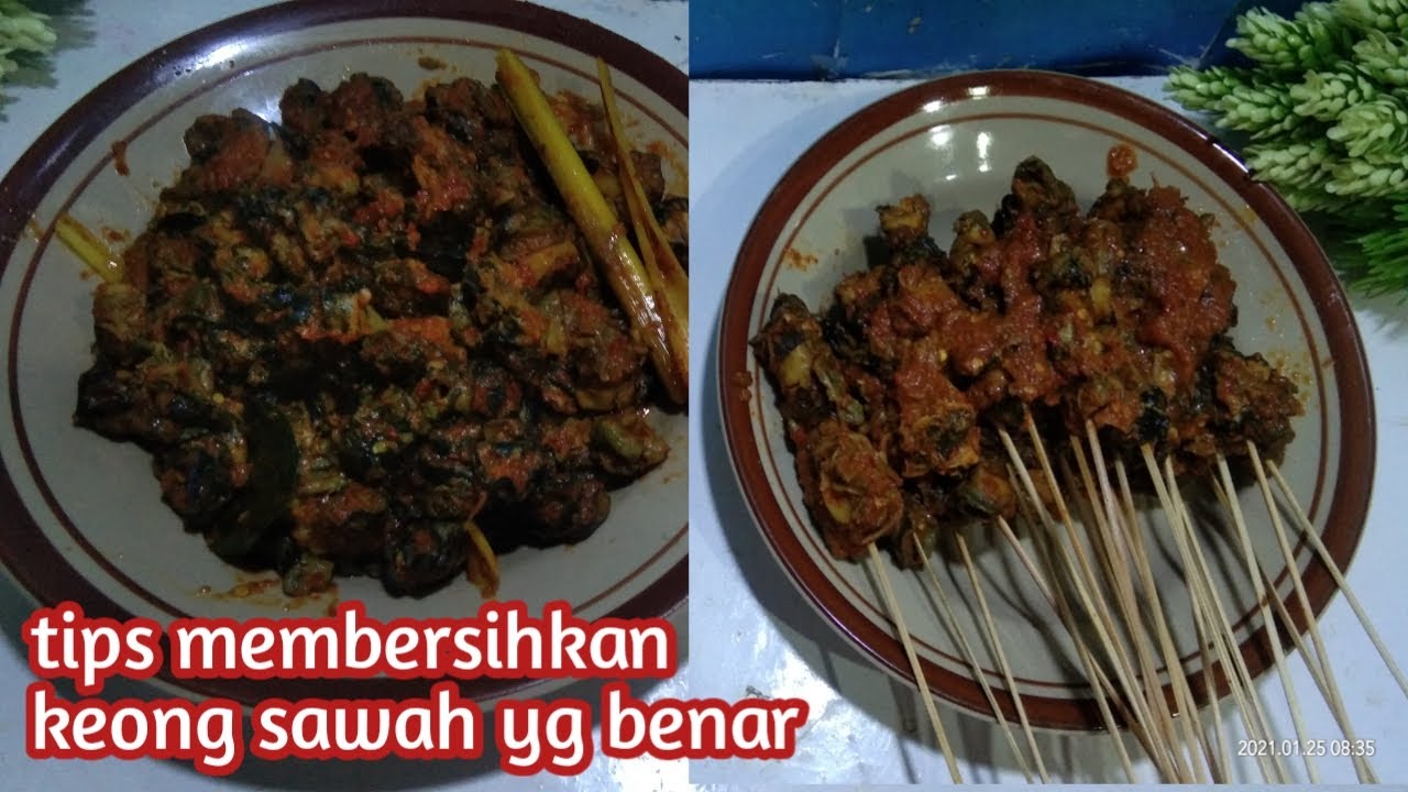 sate keong sawah/ kol pedas - YouTube