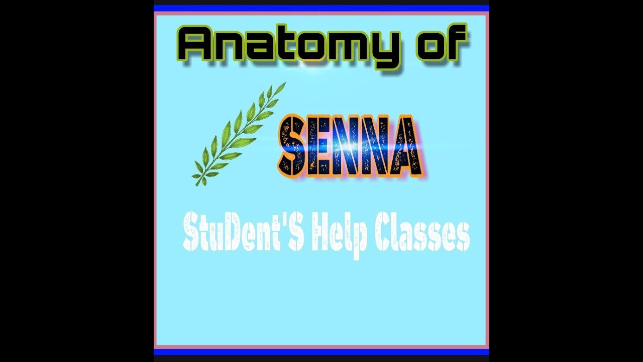 T.S. Structure of senna leaves pharmacognosy - YouTube