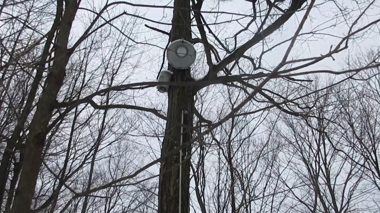 Jacklighting deer in Hamilton, Ontario - YouTube