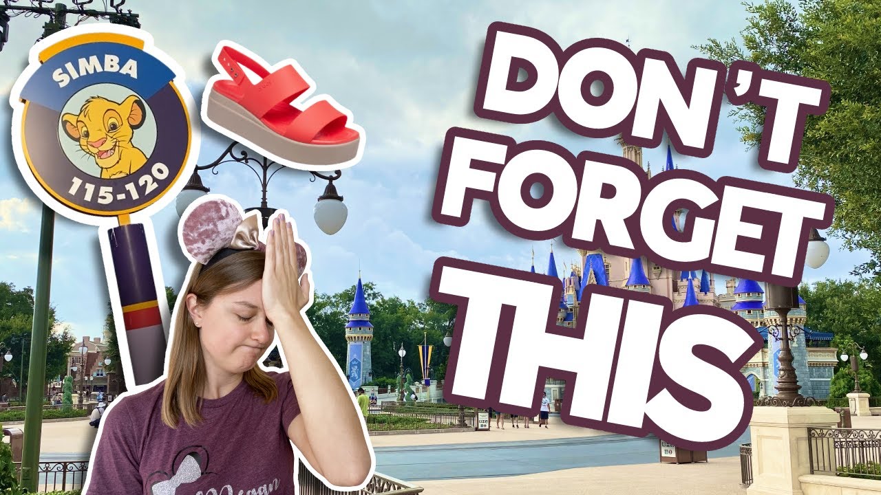 5 COMMON SENSE Things I See Disney Park Guests Forget! (Don't Make ...