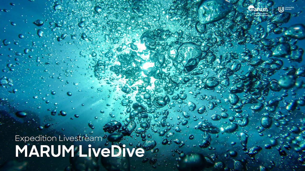 MARUM LiveDive - Expedition Livestream - YouTube