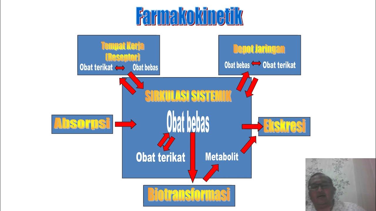 FARMAKOKINETIKA OBAT - YouTube