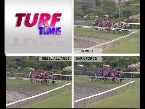 TURF TIME - RACE MEETING 14 (24.06.2017) - YouTube