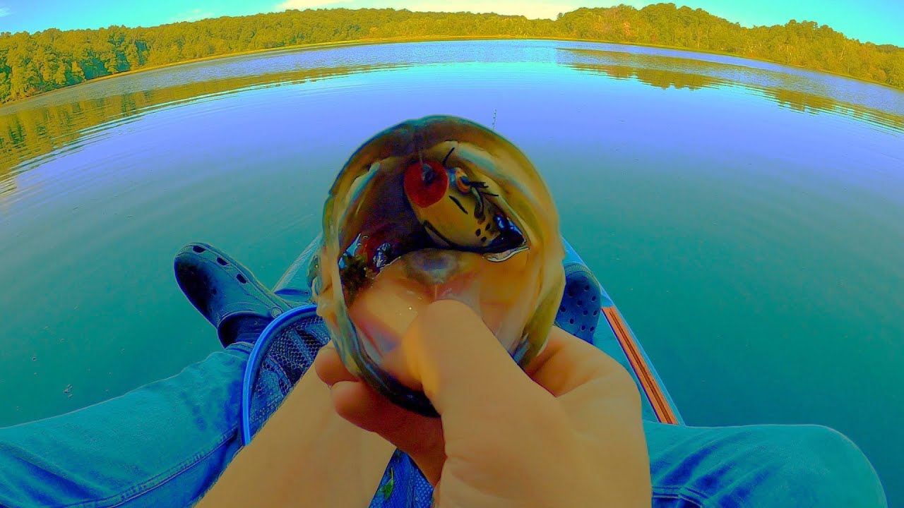 Kayak Bass Fishing Lake Raleigh, NC - Frog Bassin' - YouTube