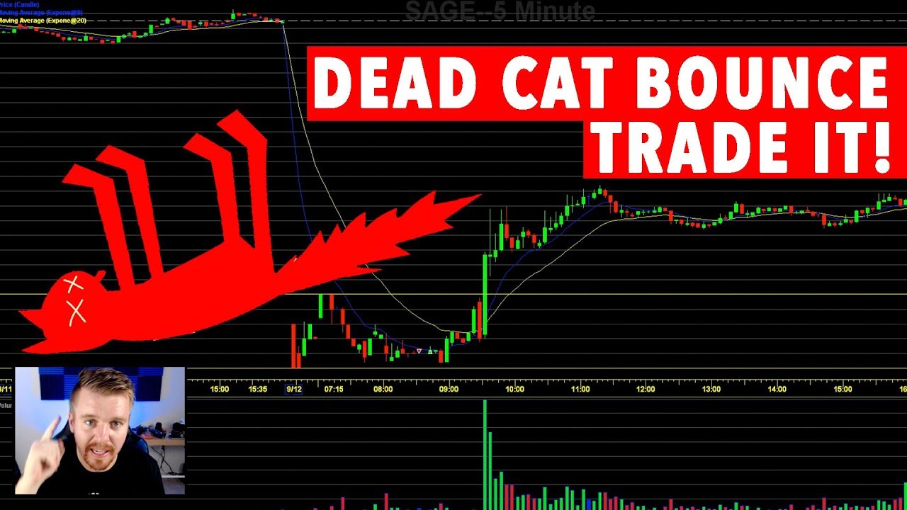 Day Trading DEAD CAT BOUNCE! TRADE IT! - YouTube