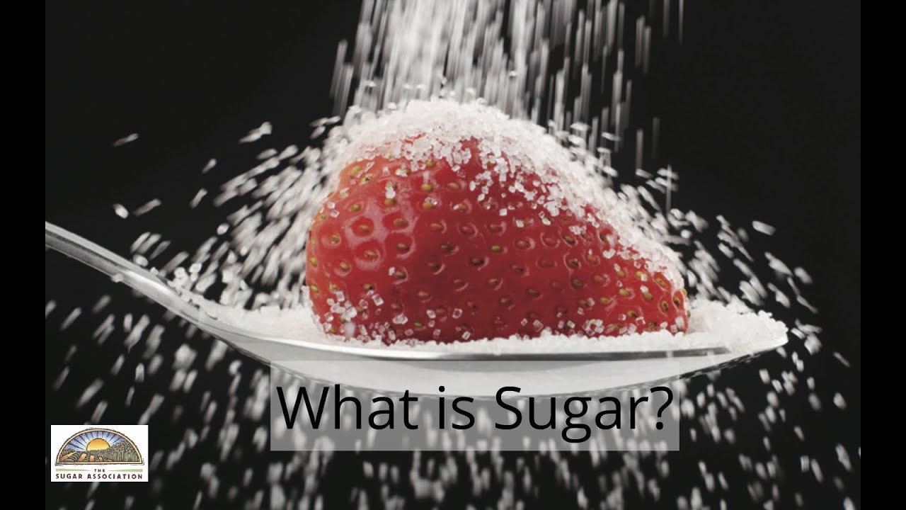 What is Sugar? - YouTube