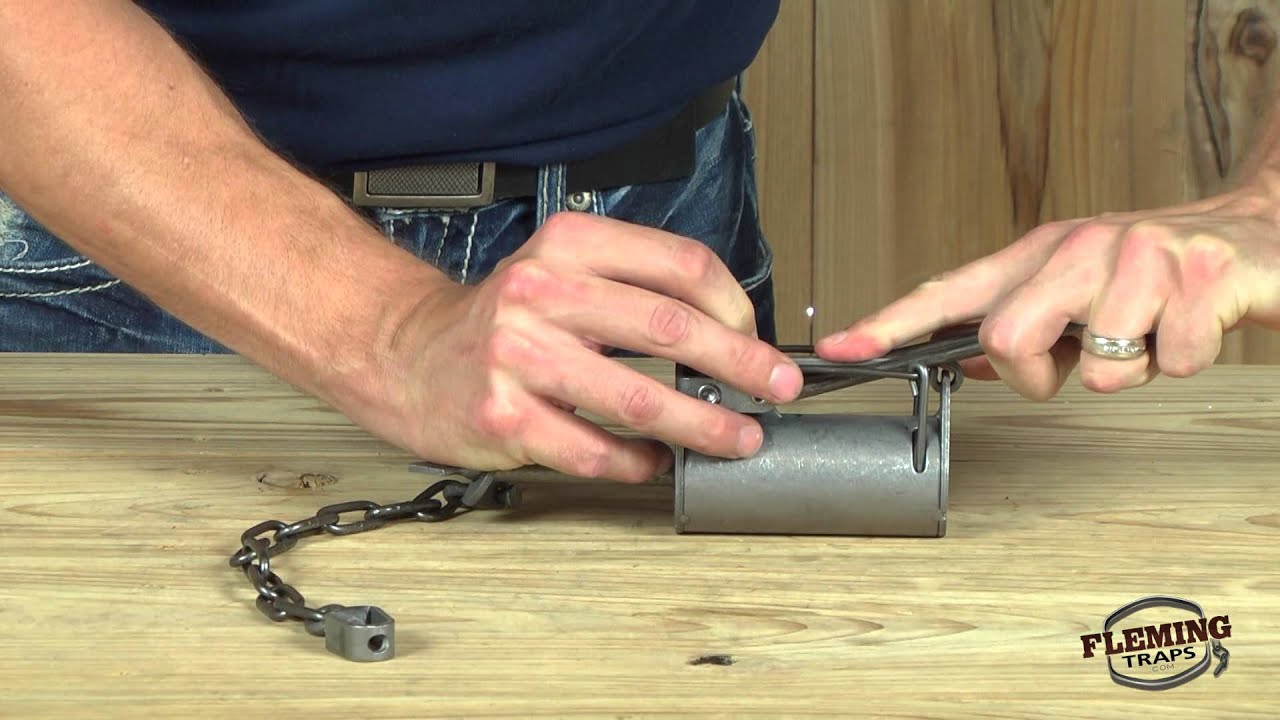 Duke Dog Proof Coon Trap - YouTube