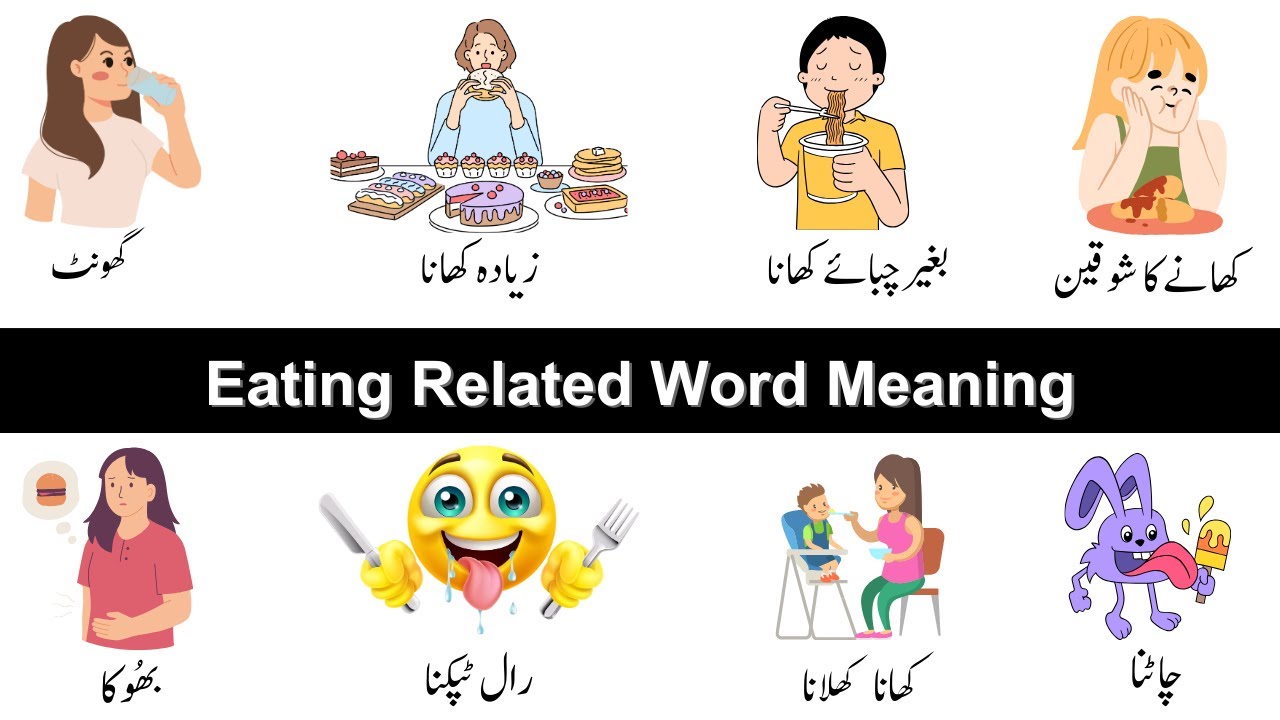 🍽️ Eating Related Word Meaning | English words related to food | Eating ...