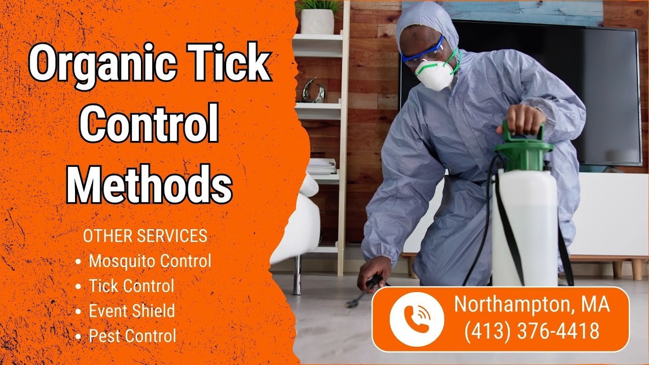 Organic Tick Control Methods Northampton, MA - YouTube