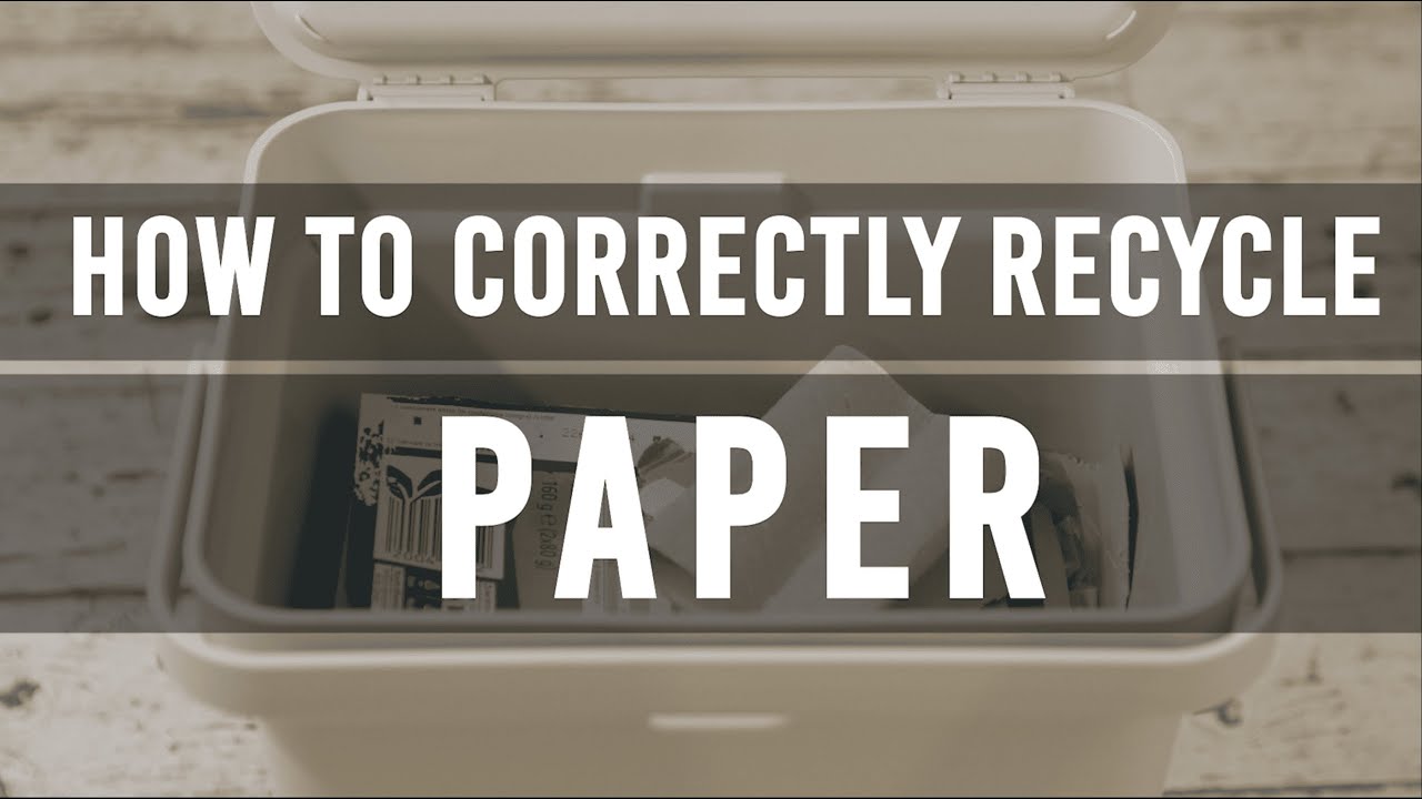 GREEN Hospitality x ECF: Paper Waste Management - YouTube