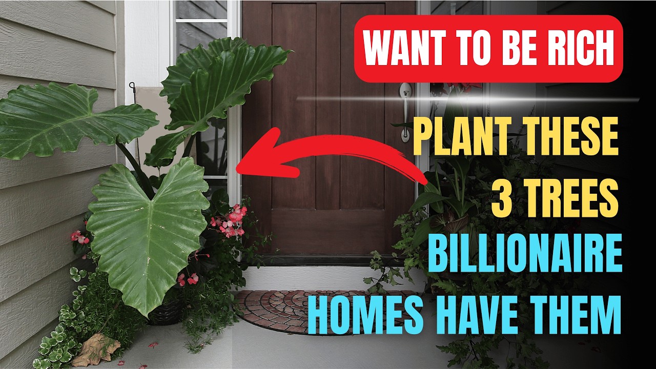 Billionaires Always Plant These 3 Lucky Trees in Front of Their Houses ...