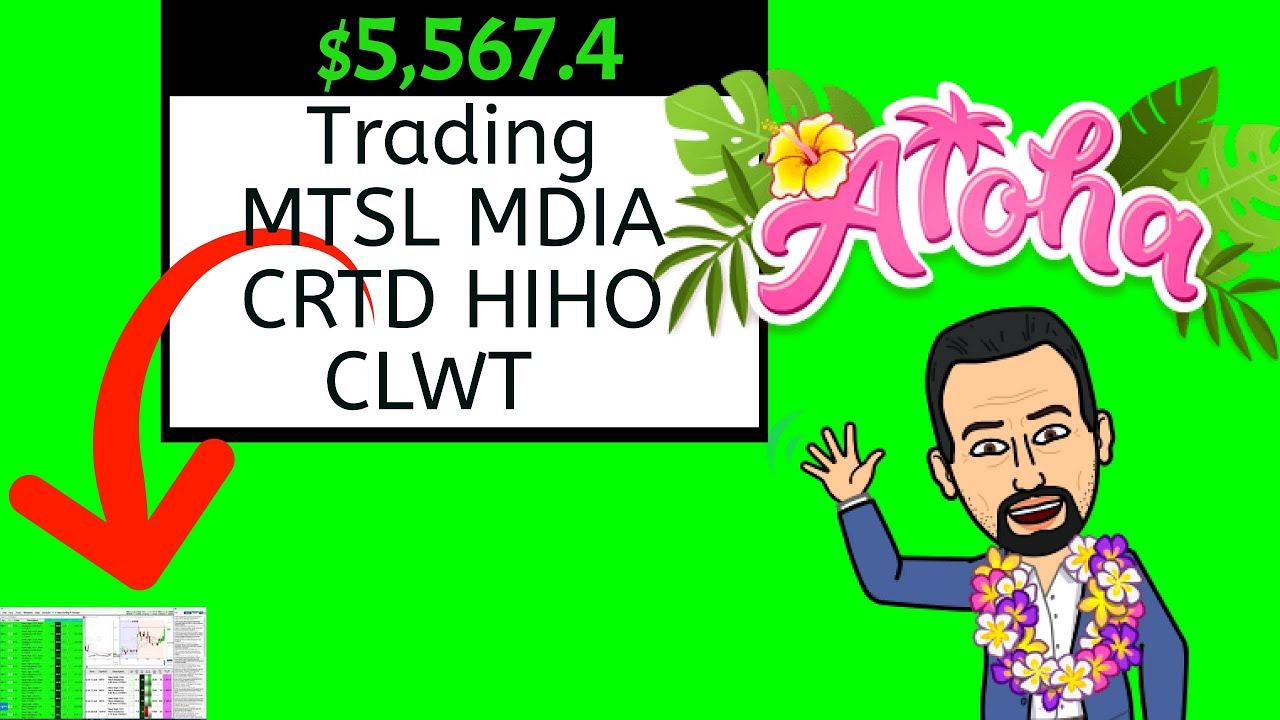 TOP 5 WINNING STOCKS: $5,567.4 MTSL MDIA CRTD HIHO CLWT | 9 JULY 2021 ...