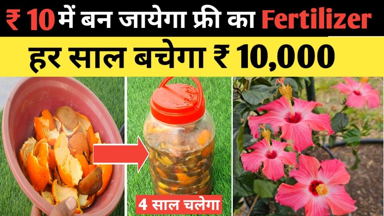फलों के छिलके से बचाए ₹10,000 रूपये - Homemade Bio Enzymes | Natural ...