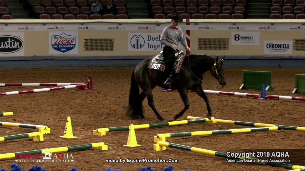 2019 AQHA Junior Trail - YouTube
