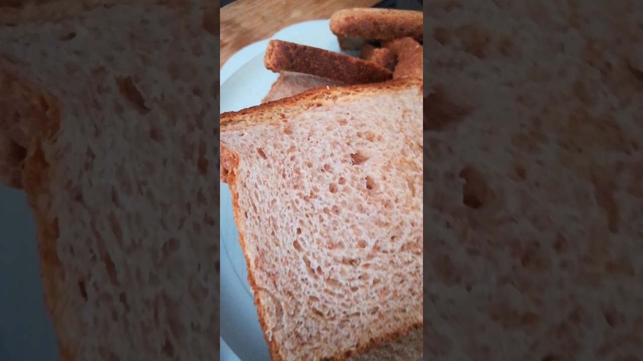 Gusanos en Pan integral - YouTube