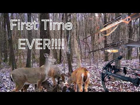 I've NEVER DONE THIS BEFORE!!! (INSANE SHOT!!!)(EPIC DEER HUNT ...