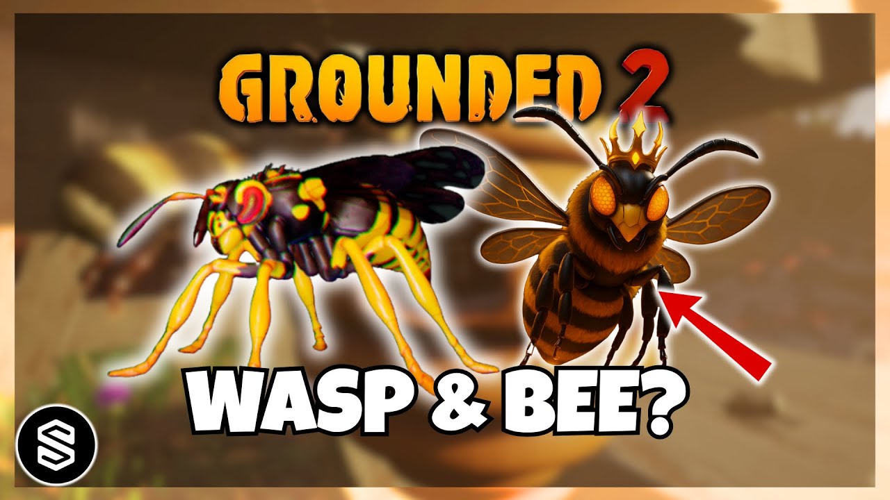Are WASP & BEE Queens COMING to Grounded 2? - YouTube