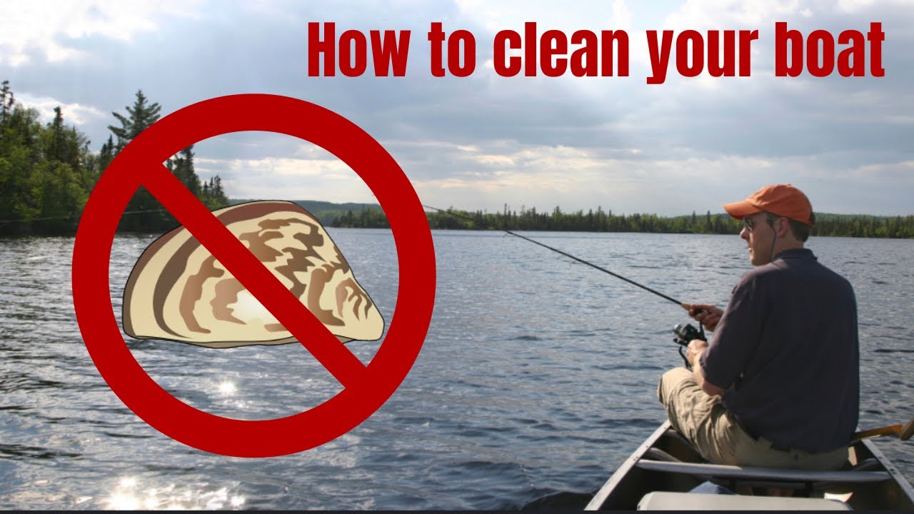 How to Clean Your Boat - Take Action, 2023 - YouTube