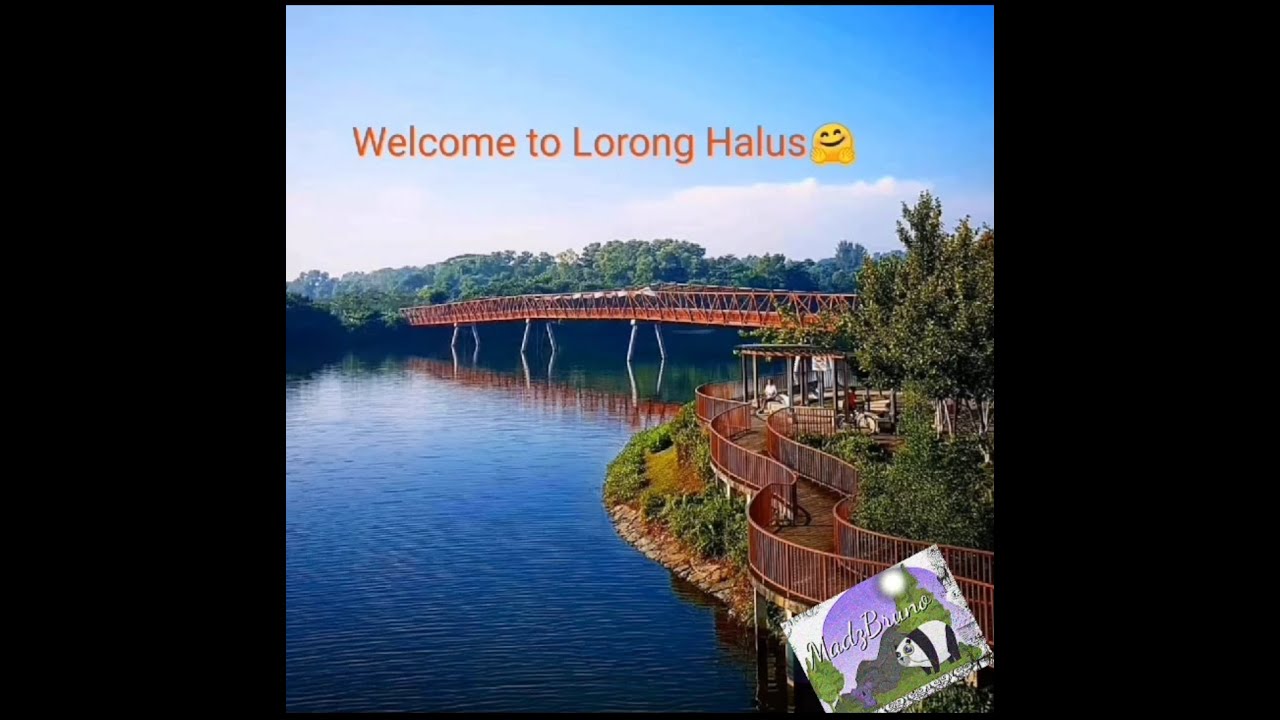 Lorong Halus wetland, Bridge ( tulay Singapore ) 🌉 - YouTube