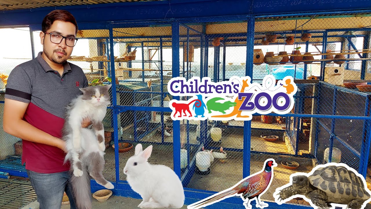 Private Zoo | Turtles , Rabbit , Pheasant , Parrots , Pigeons , Cats ...
