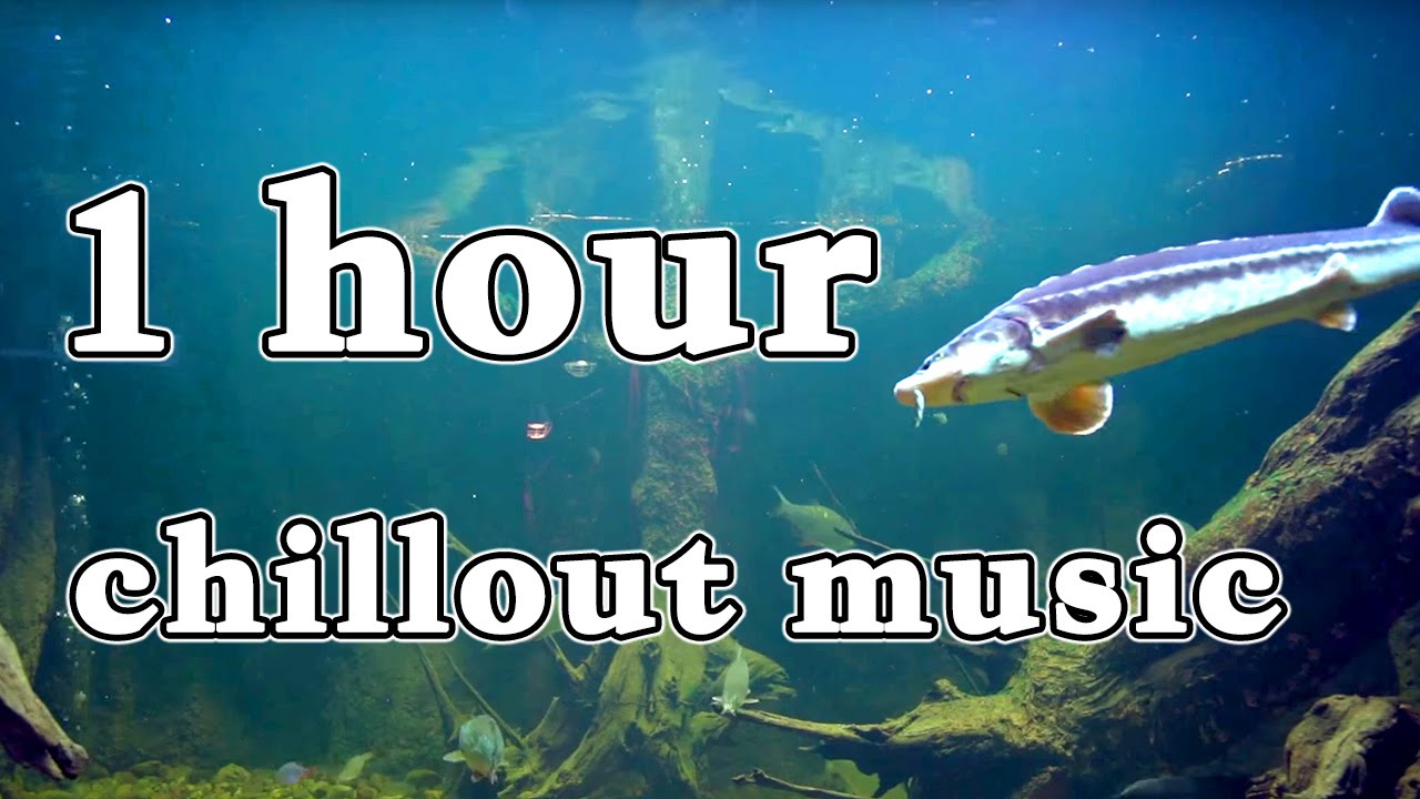 1 hour of relaxing music - chillout | downtempo mix - YouTube