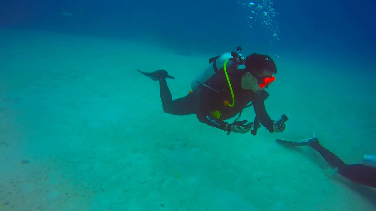 Scuba Diving - Stuart Cove's - James Bond Wrecks - YouTube