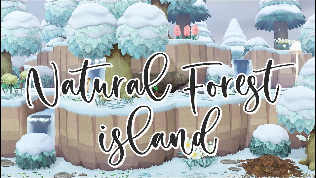 Natural Forestcore Island •| 5am update Tour | ACNH🌲🍀 - YouTube