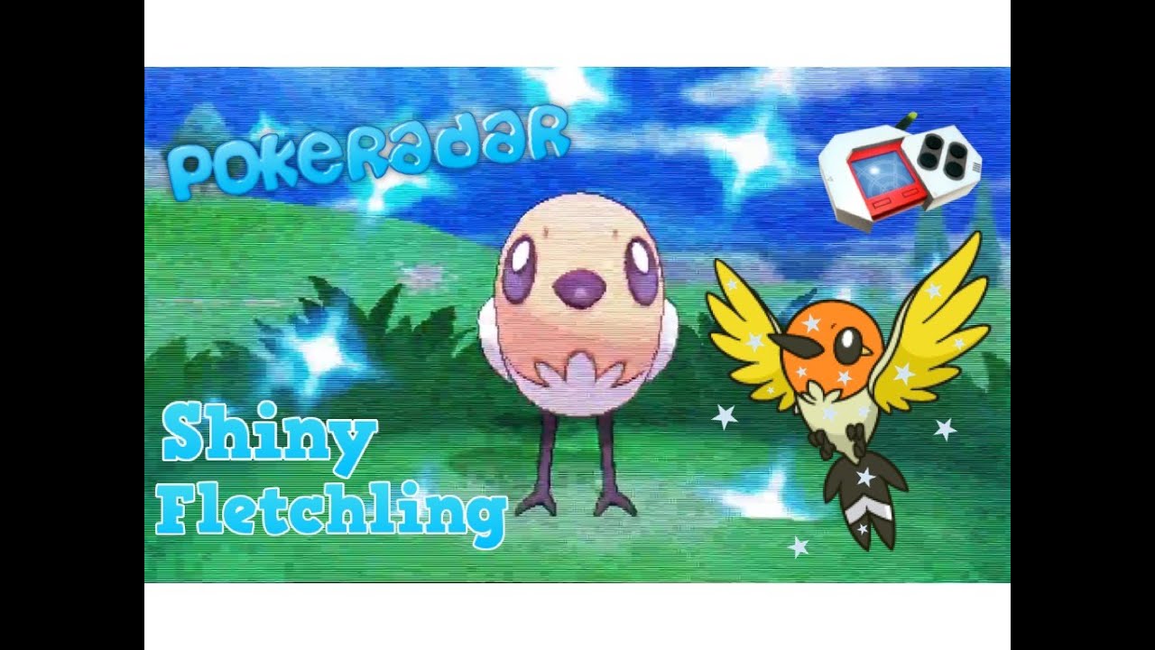 * SHINY * Fletchling On A Chain Of 4!! (Pokeradar) - YouTube
