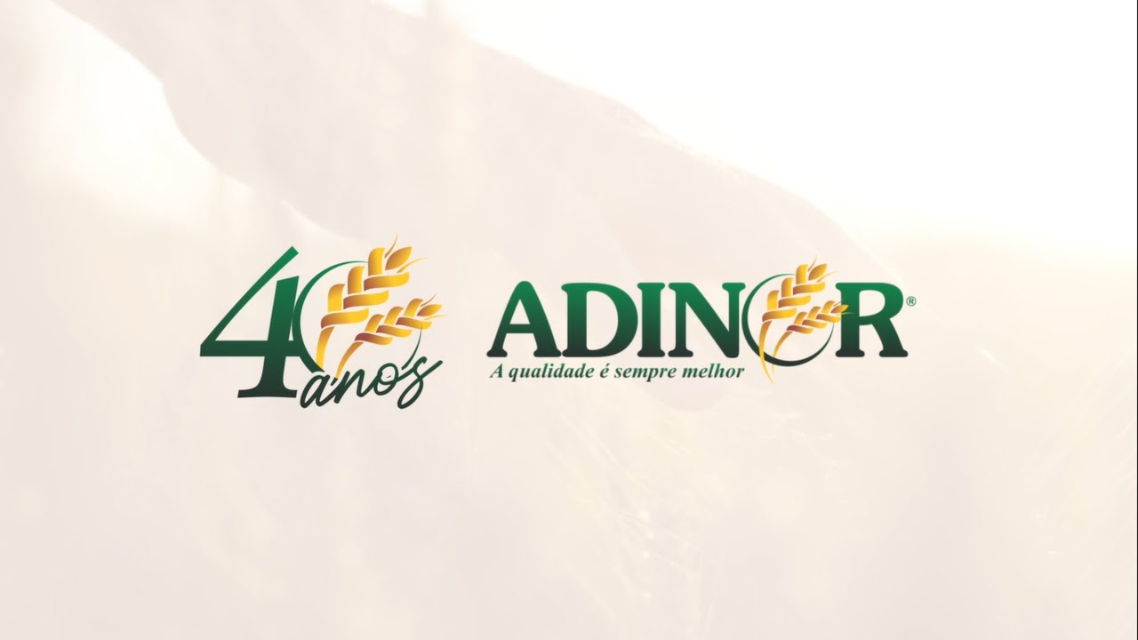 Adinor 40 Anos de História - YouTube