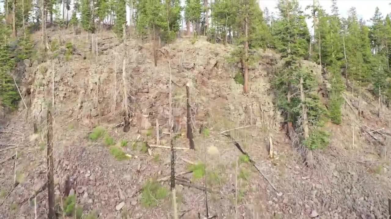 Drone video shows Wallow Fire burn scar in eastern Arizona - YouTube