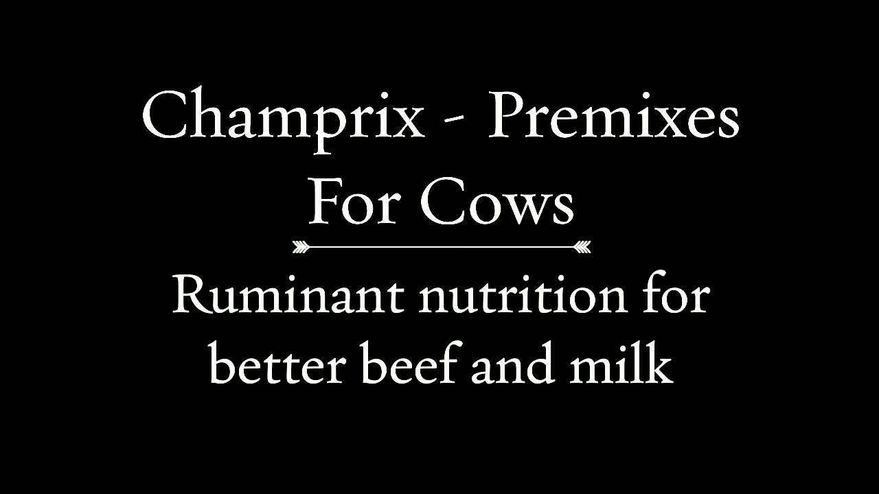 Champrix Animal Feed Experts - YouTube