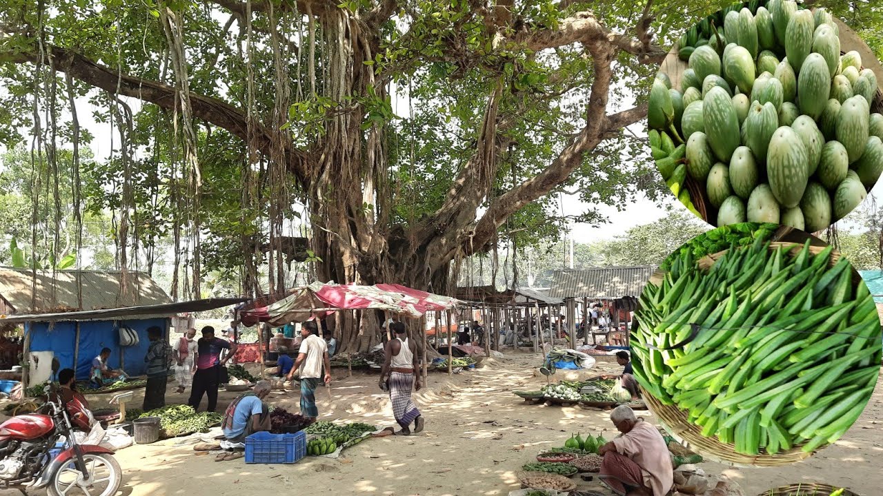 Village Market || A Small Village Market Under A Banyan Tree || Where ...