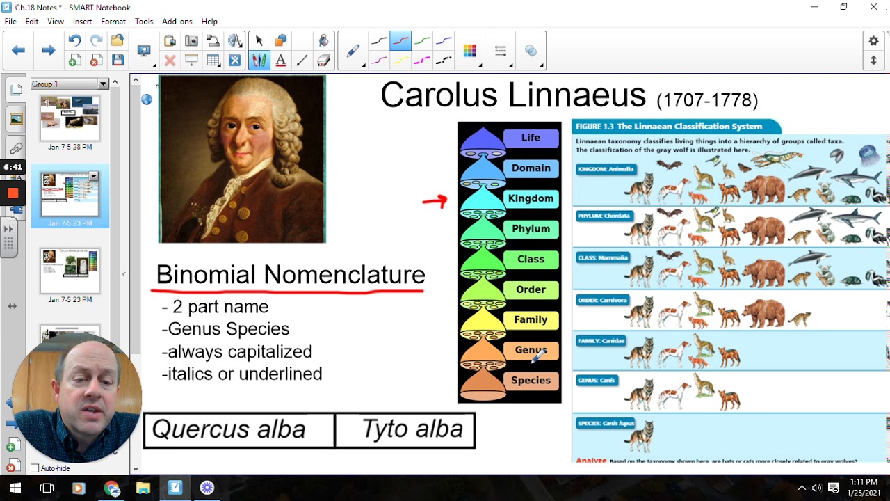Linnaeus and Taxonomy - YouTube