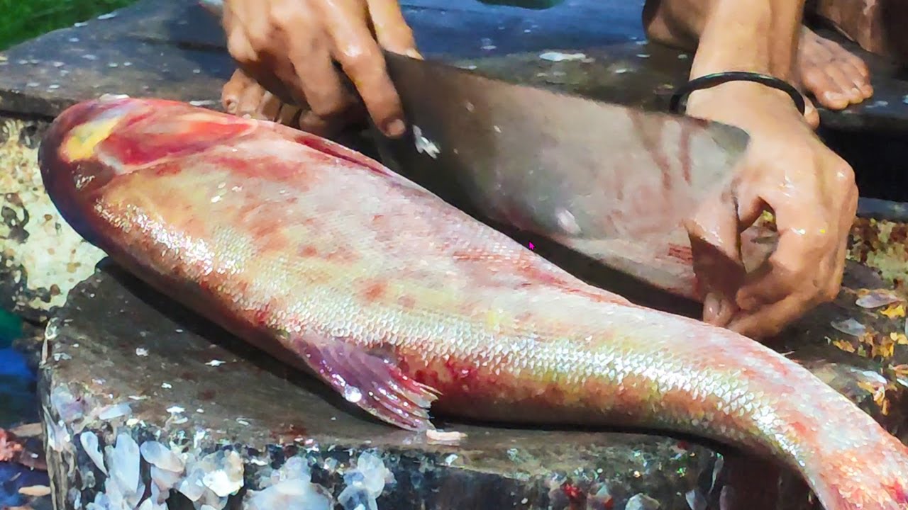 Big Silver Cup Fish Cutting Live in Fish Market | Fish Cutting Skills ...