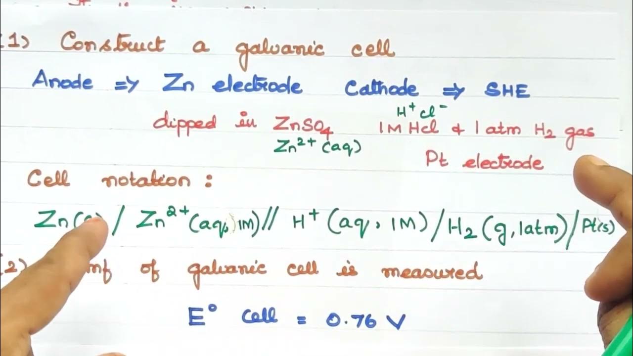 EC-12/Calculate the reduction potential of Zn electrode dipped in ZnSO4 using SHE ...